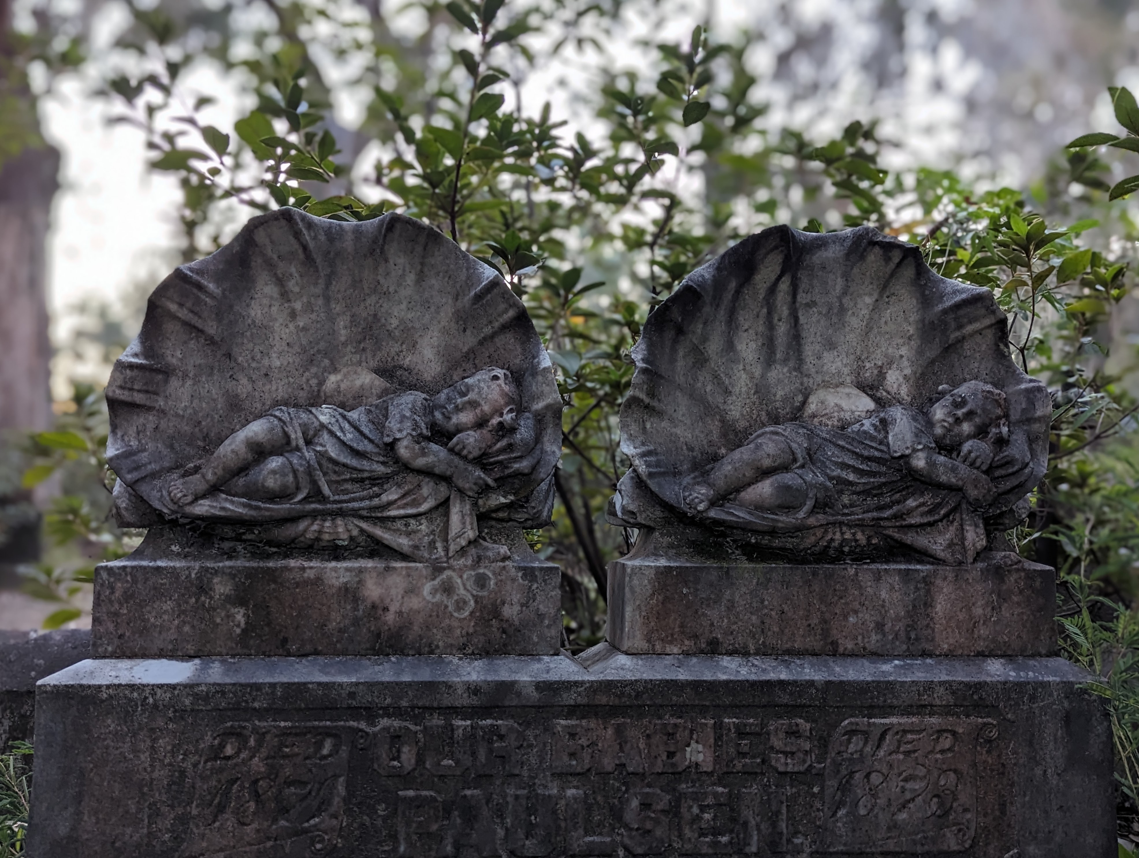 Photography – EverMorgan Design